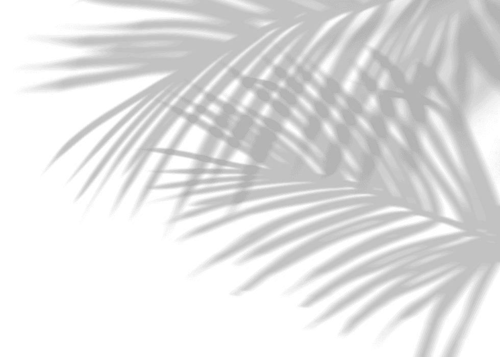 Leaves Shadow PNGs for Free Download