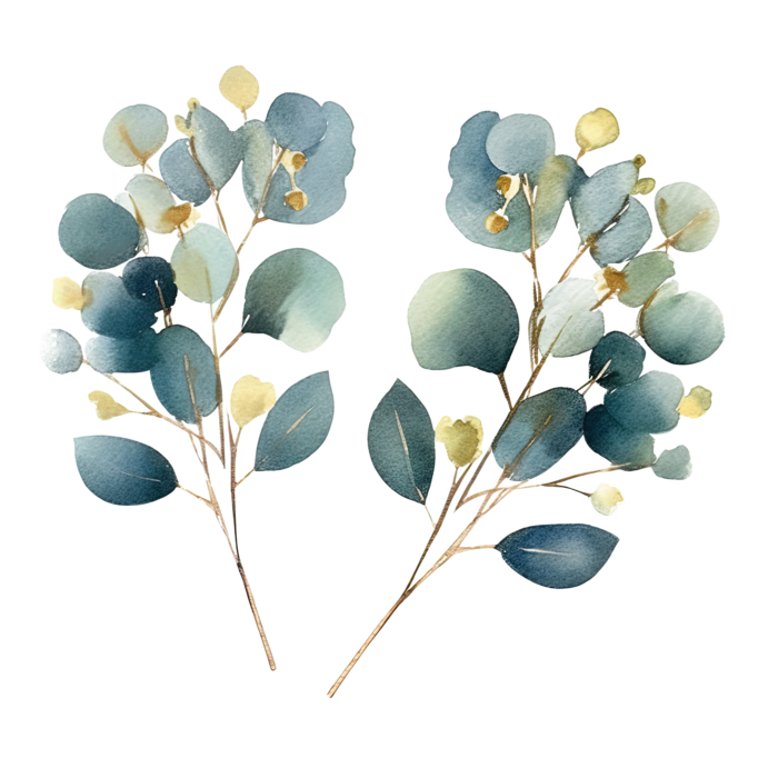 Eucalyptus Leaves PNGs for Free Download