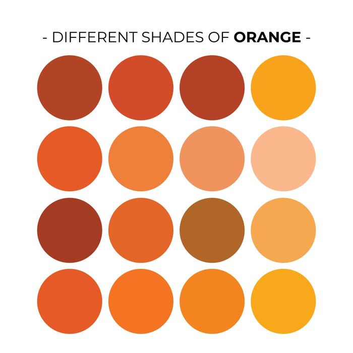 Pantone Color Chart Vector Art, Icons, and Graphics for Free Download