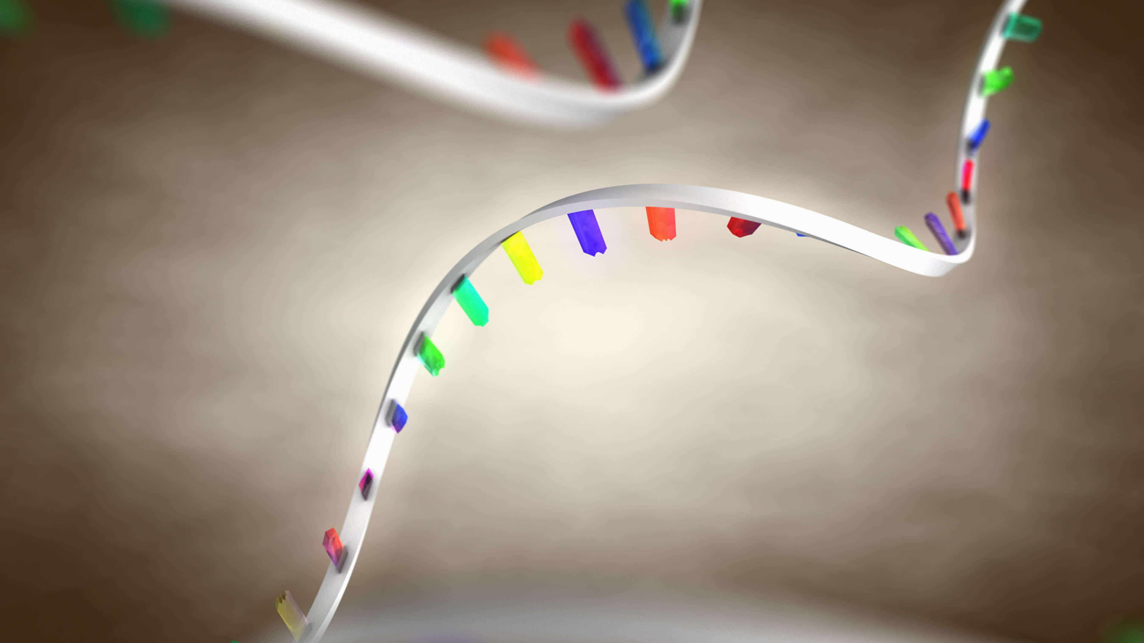 3d rendering messenger RNA model. 23968217 Stock Video at Vecteezy 3d rendering messenger RNA model. 23968217 Stock Video at Vecteezy
