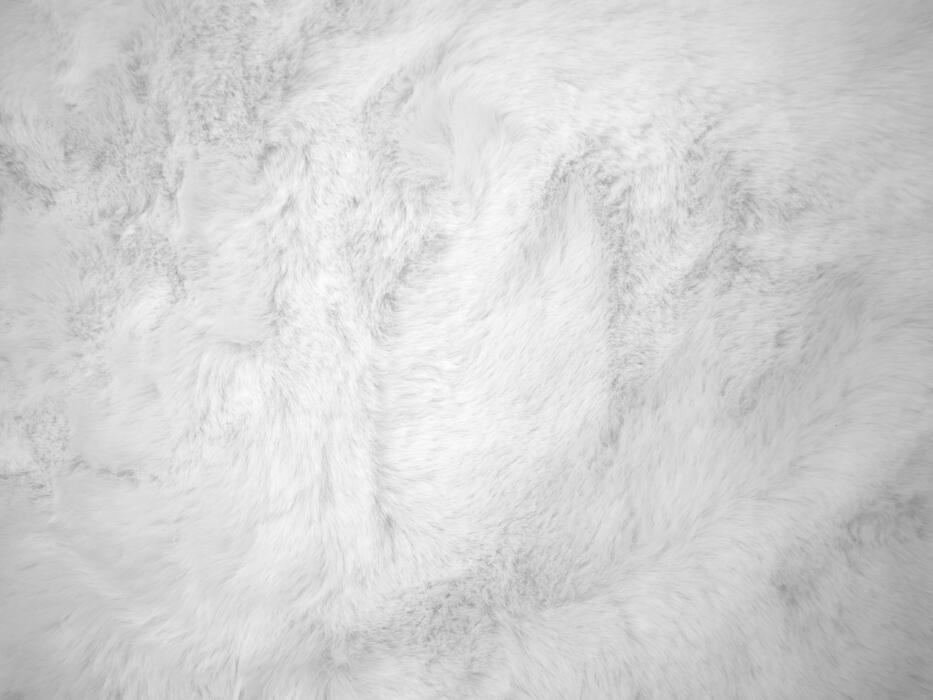 White Fur Background Stock Photos, Images and Backgrounds for Free Download