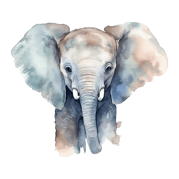 Elephant Watercolor PNGs for Free Download