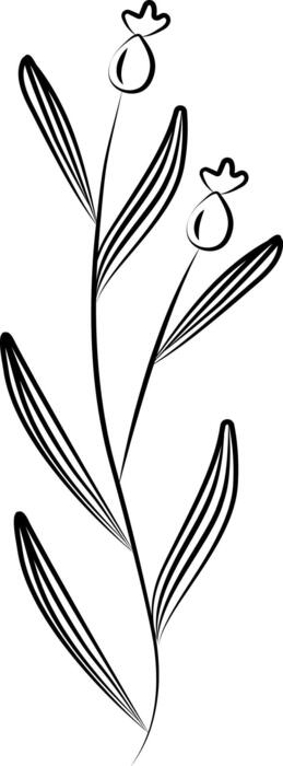 Black Line Flower Vector Art, Icons, and Graphics for Free Download