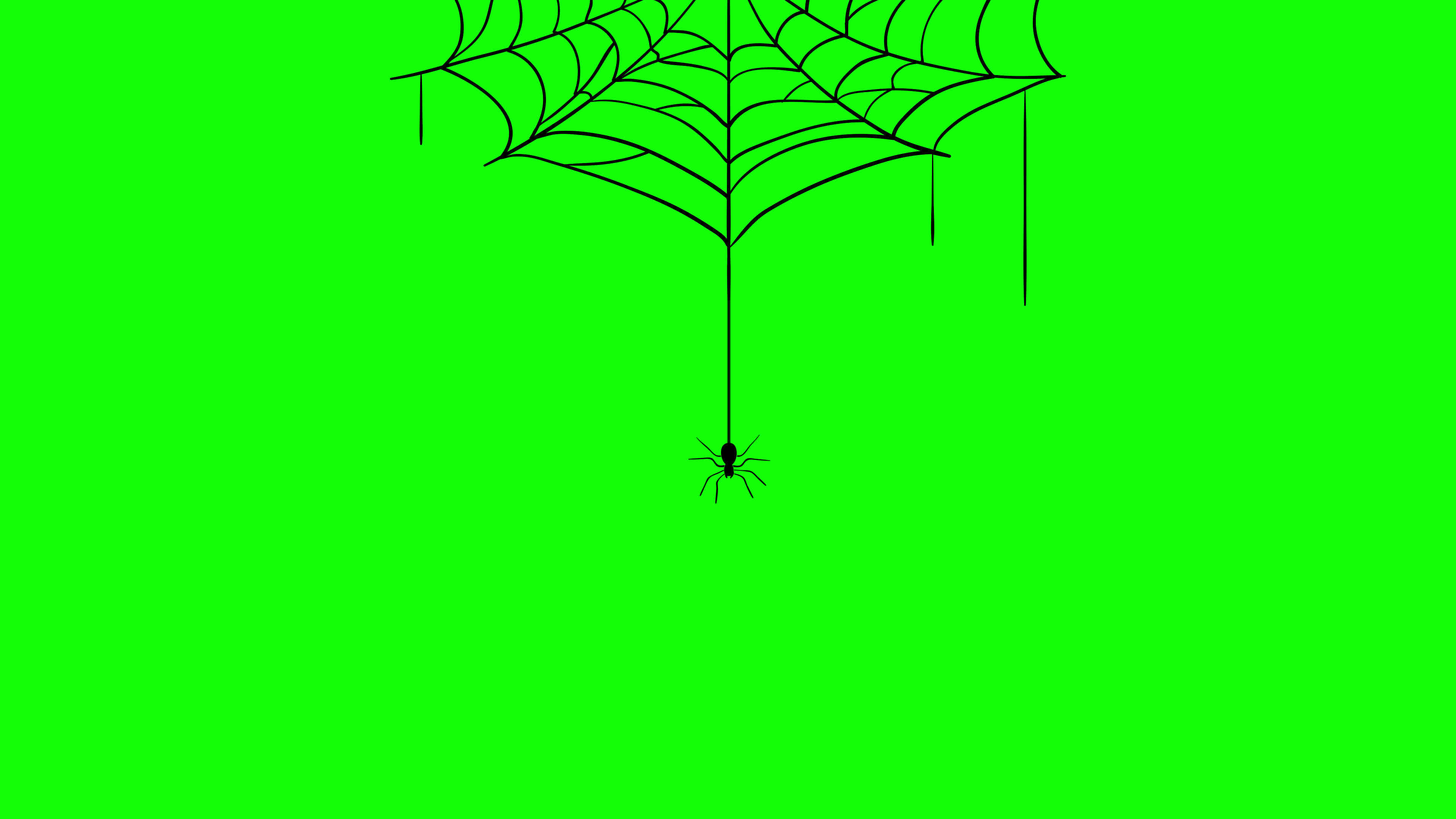 on spider web spider hanging and moving loop Animation with alpha channel. 24195247 Stock Video ...