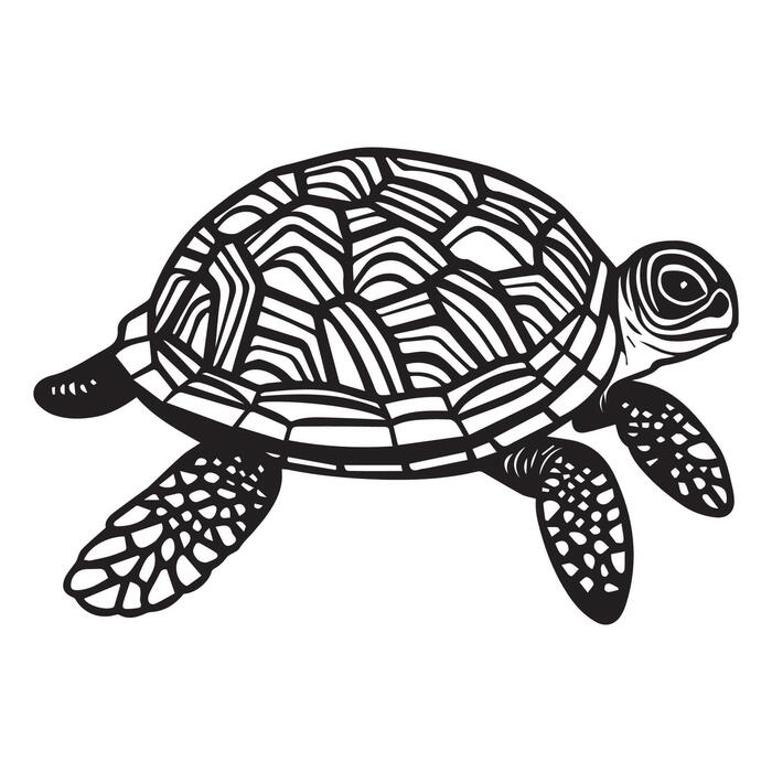 Turtle Line Drawing Vector Art, Icons, and Graphics for Free Download