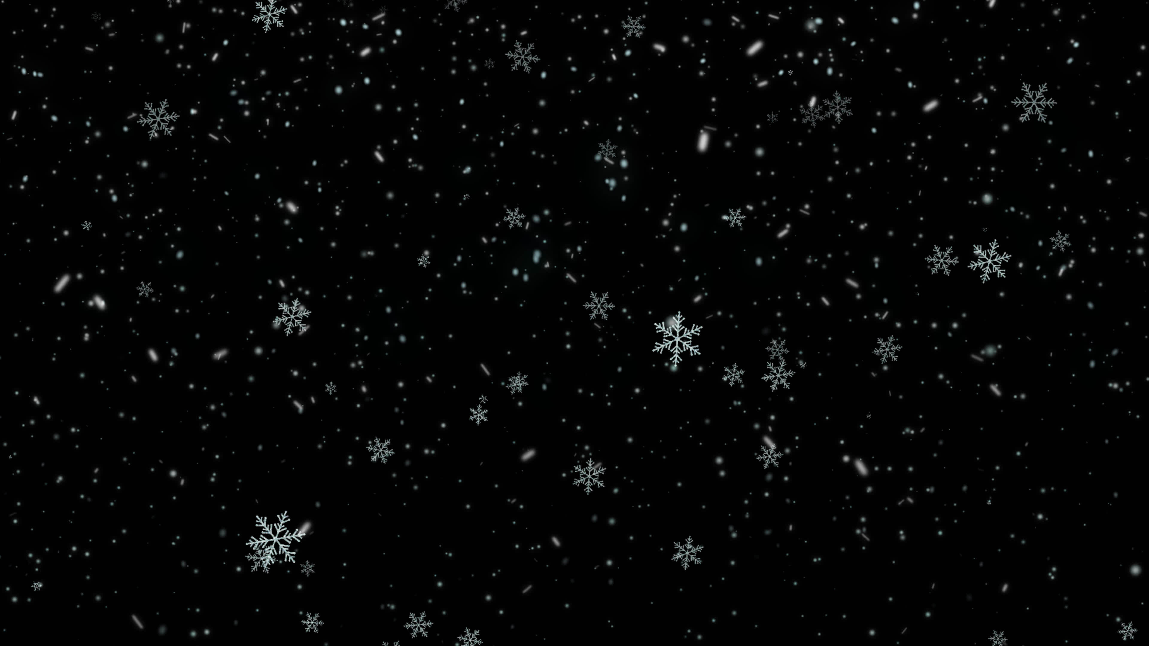 Snow flakes overlay, black background. Winter, slowly falling snow effect seamless loop 24243067 ...