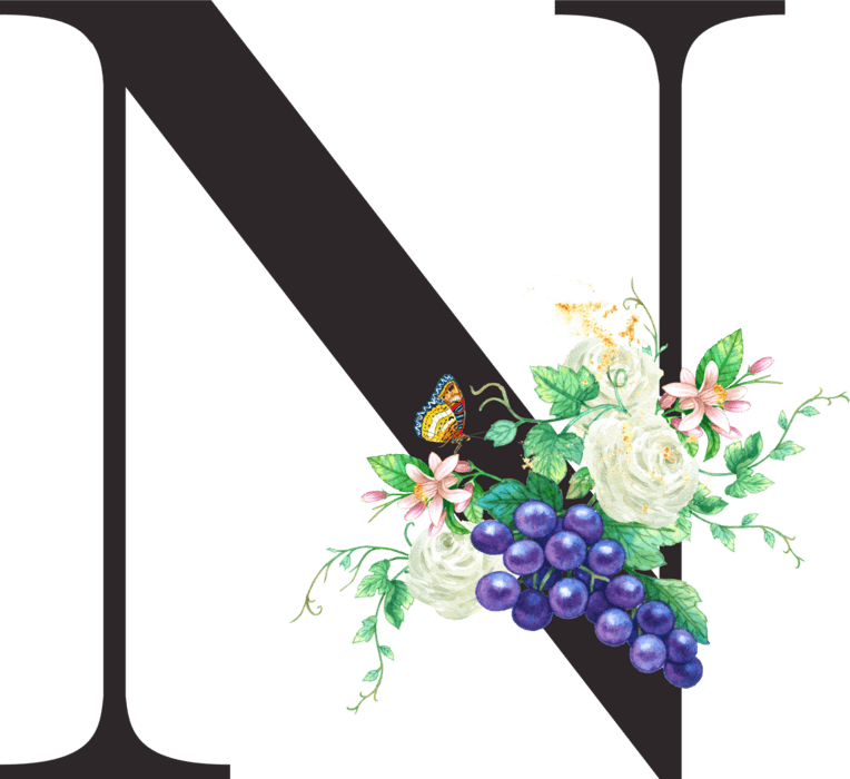 Page 2 | Letter N PNGs for Free Download