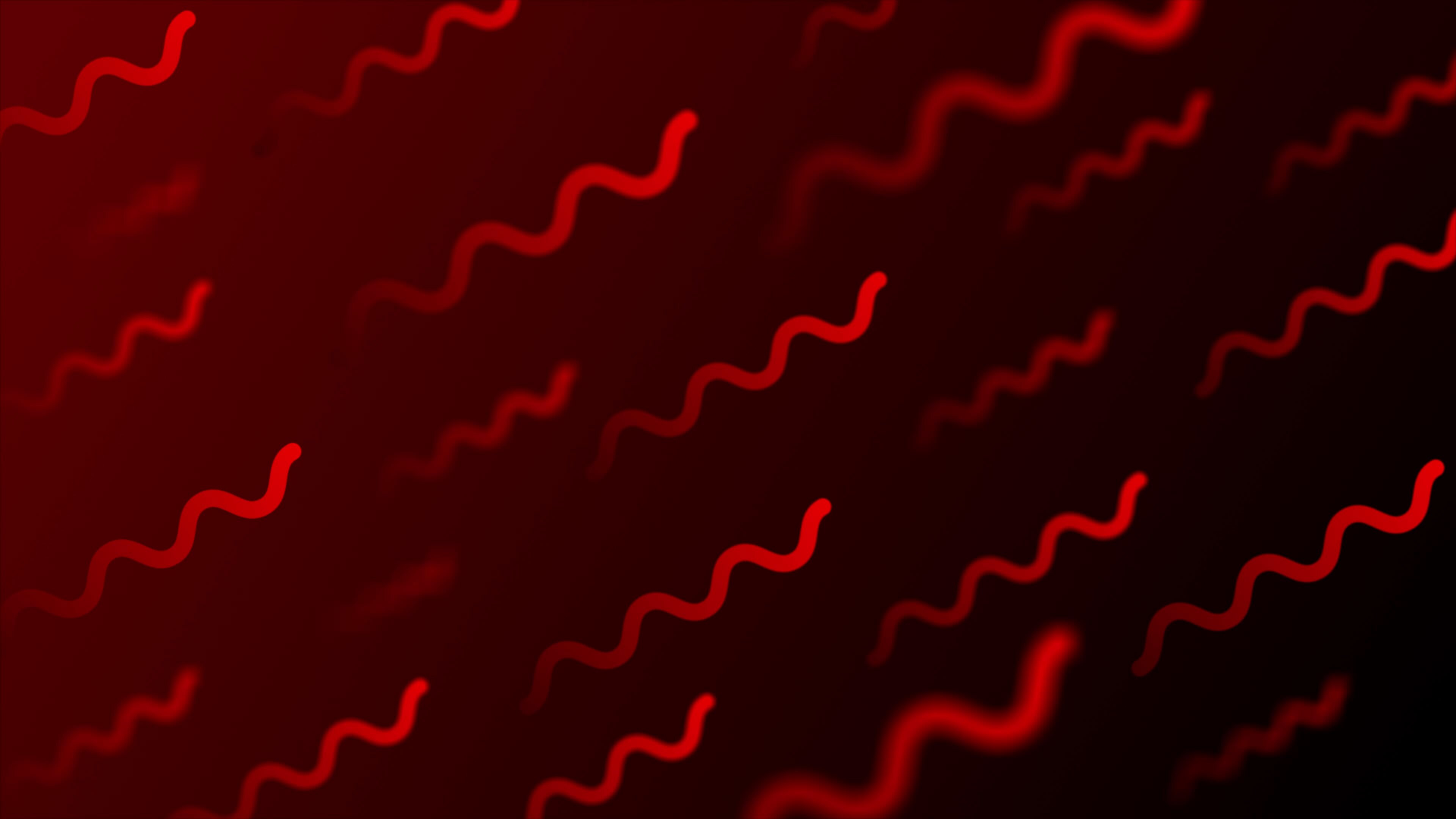 3d red color squiggly line pattern background 24300718 Stock Video at ... 3d red color squiggly line pattern background 24300718 Stock Video at ...
