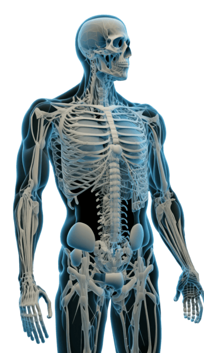 3d Human PNGs for Free Download