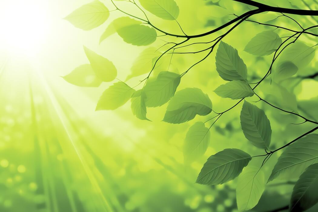 Green Background Stock Photos, Images and Backgrounds for Free Download