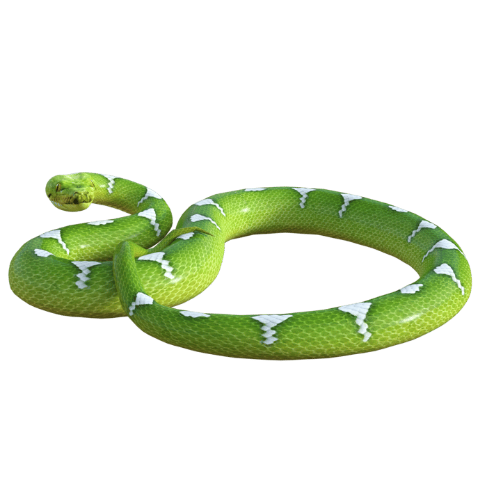 Page 2 | Snake PNGs for Free Download