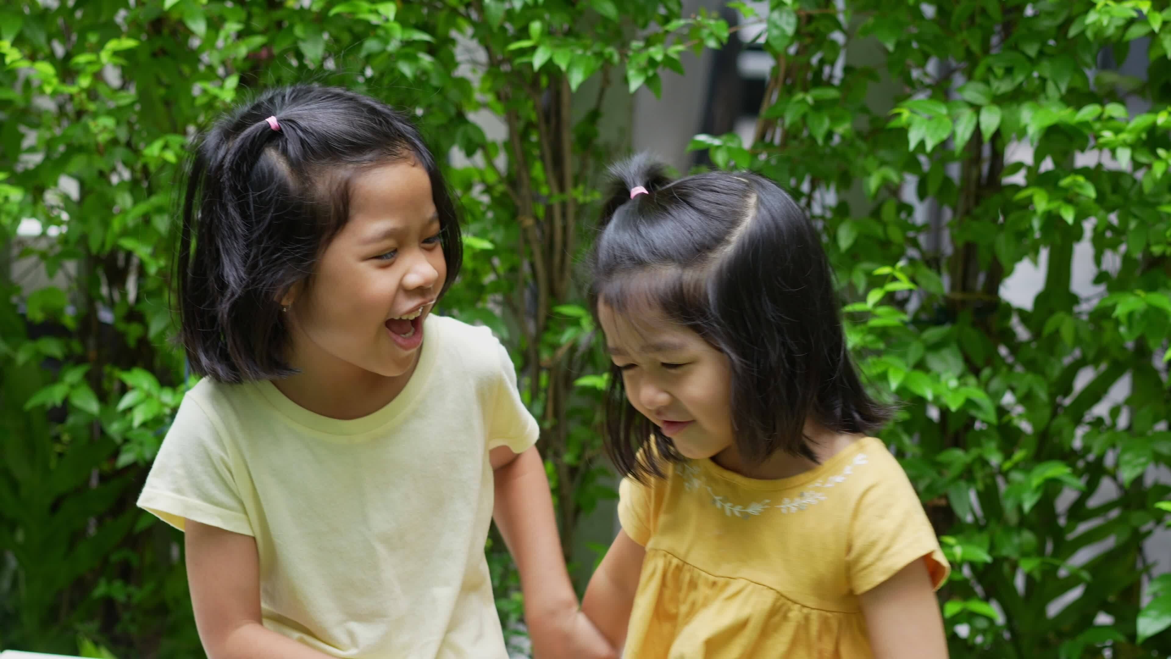 Two happy sibling sisters hugging and having fun outdoors in summer ...