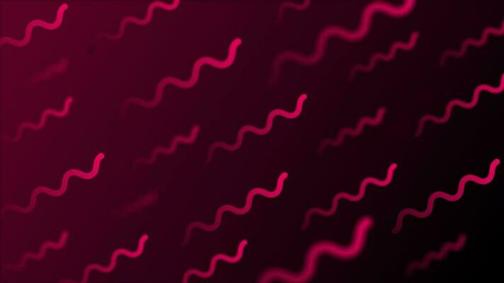Animated Wavy Lines Stock Video Footage for Free Download Animated Wavy Lines Stock Video Footage for Free Download
