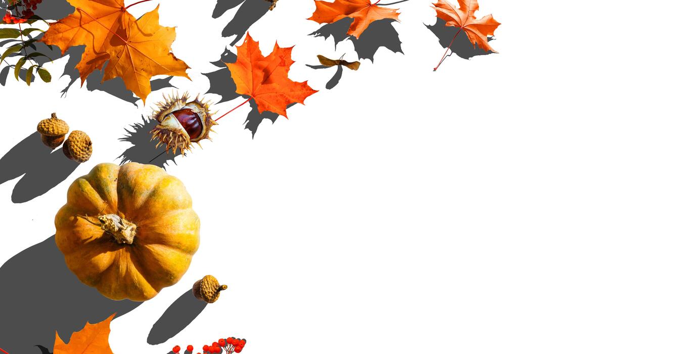 Fall Autumn Background Stock Photos, Images and Backgrounds for Free ...