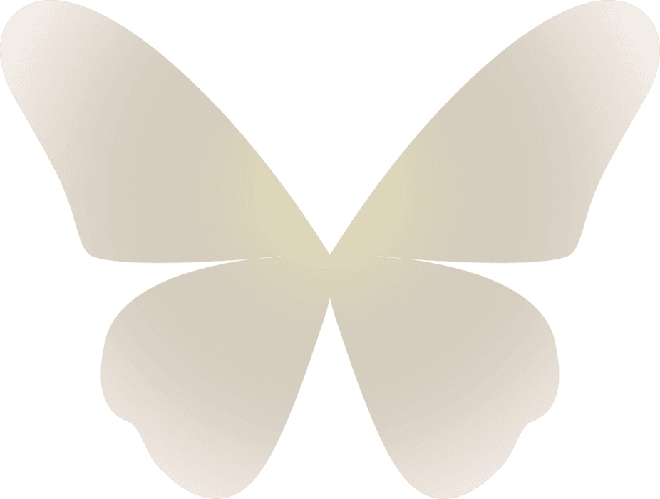 Butterfly Shape PNGs for Free Download
