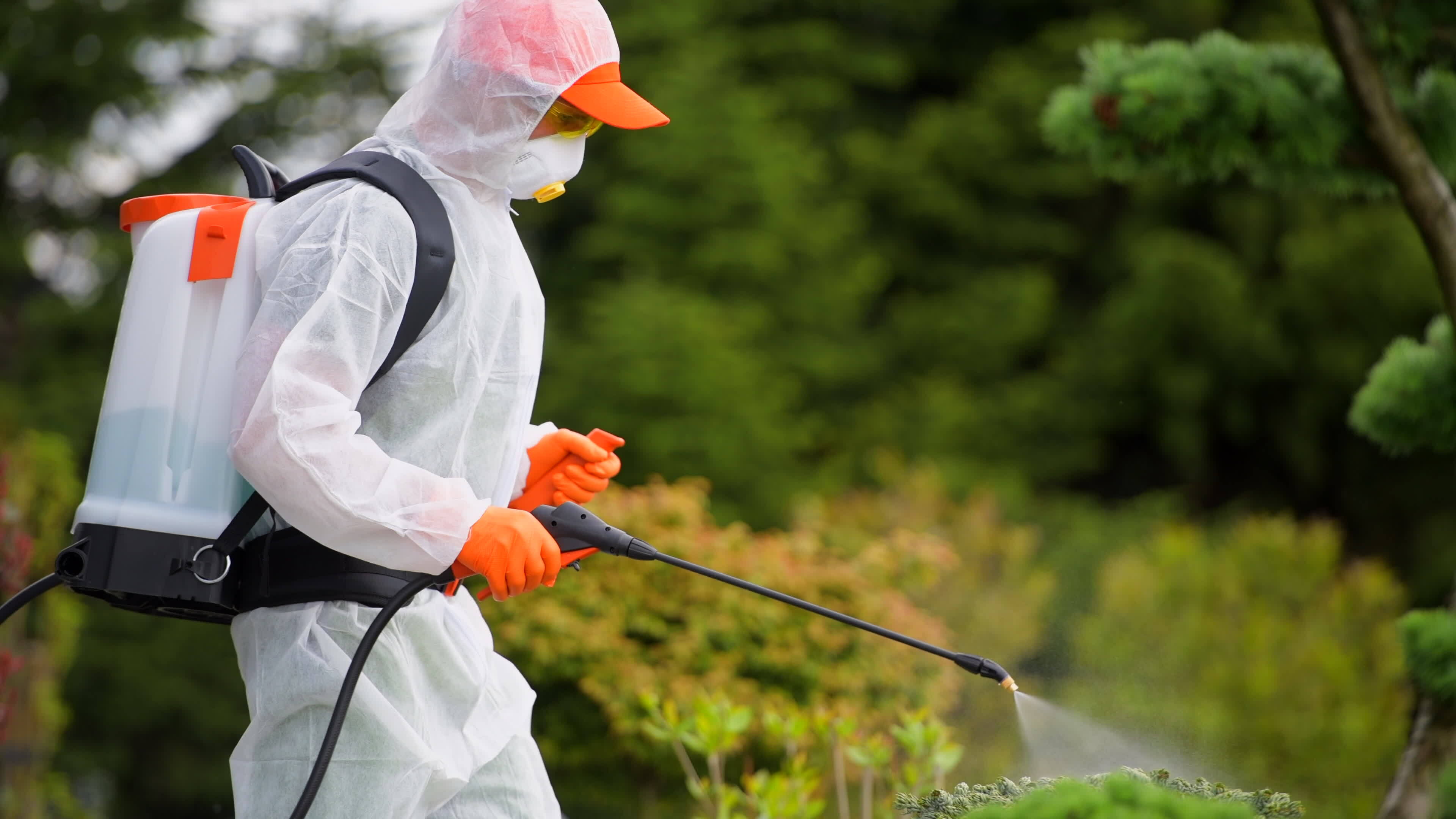 Professional Gardener Worker Insecticide Backyard Garden Plants ... Professional Gardener Worker Insecticide Backyard Garden Plants ...