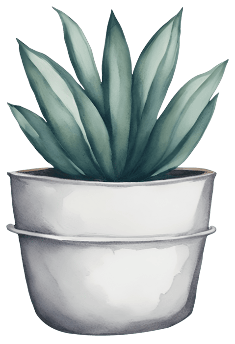 Plants Watercolor PNGs for Free Download