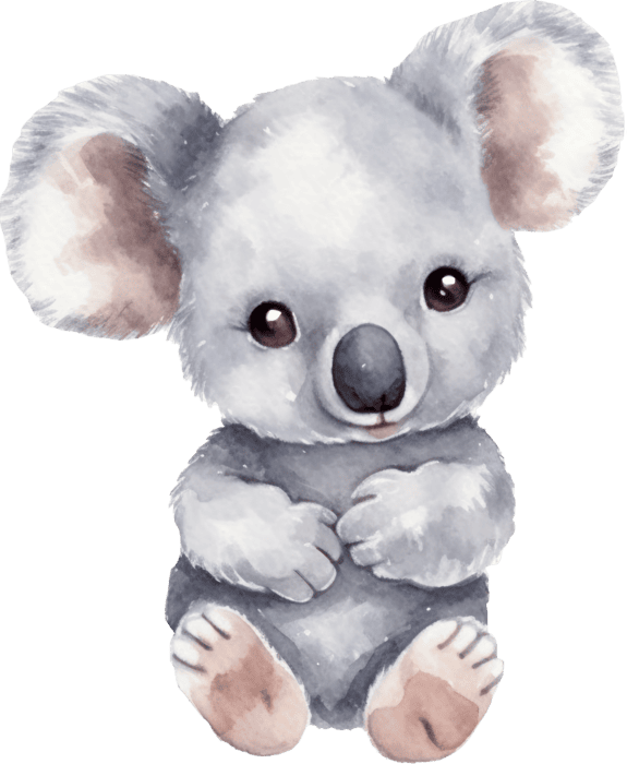 Koala PNGs for Free Download