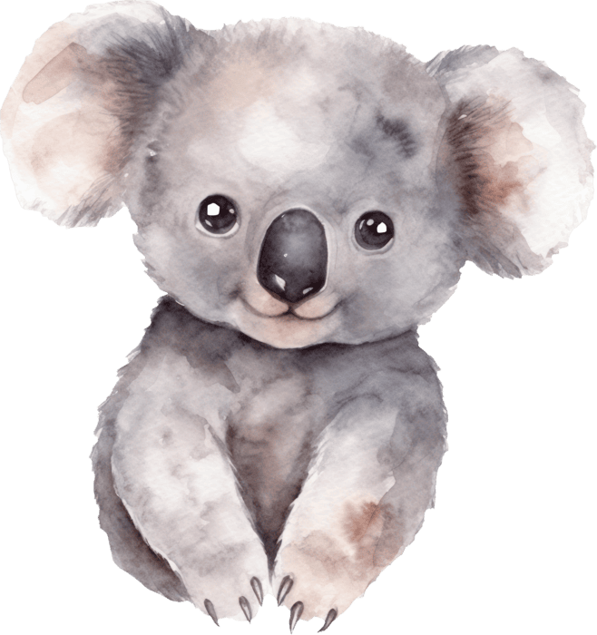 Koala PNGs for Free Download
