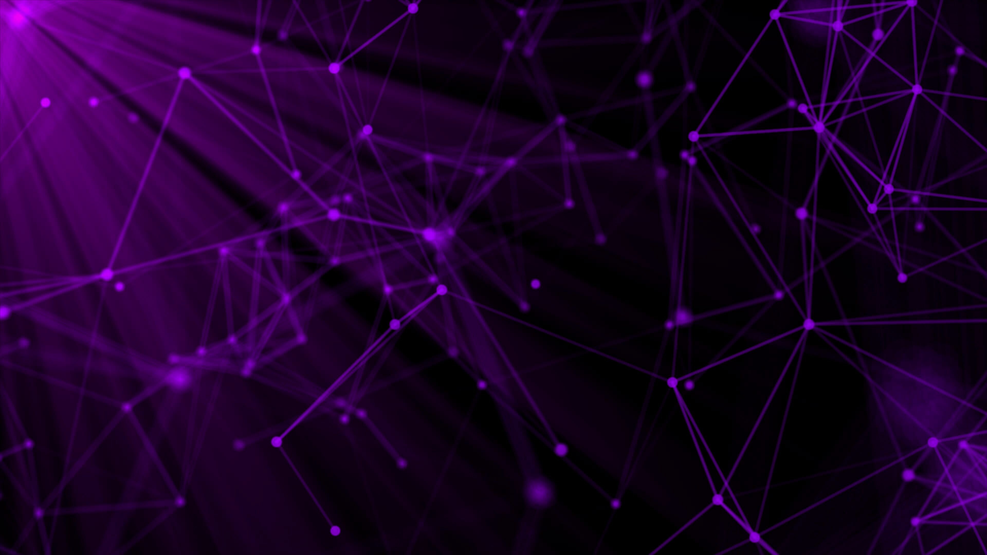 Animated dark tone purple plexus and purple rays background 24702832 Stock Video at Vecteezy