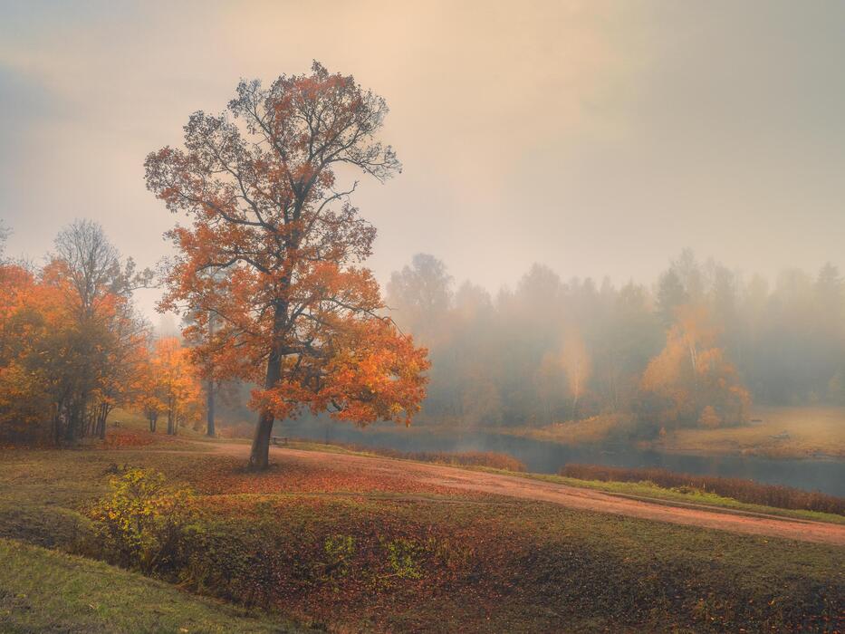 Autumn Stock Photos, Images and Backgrounds for Free Download
