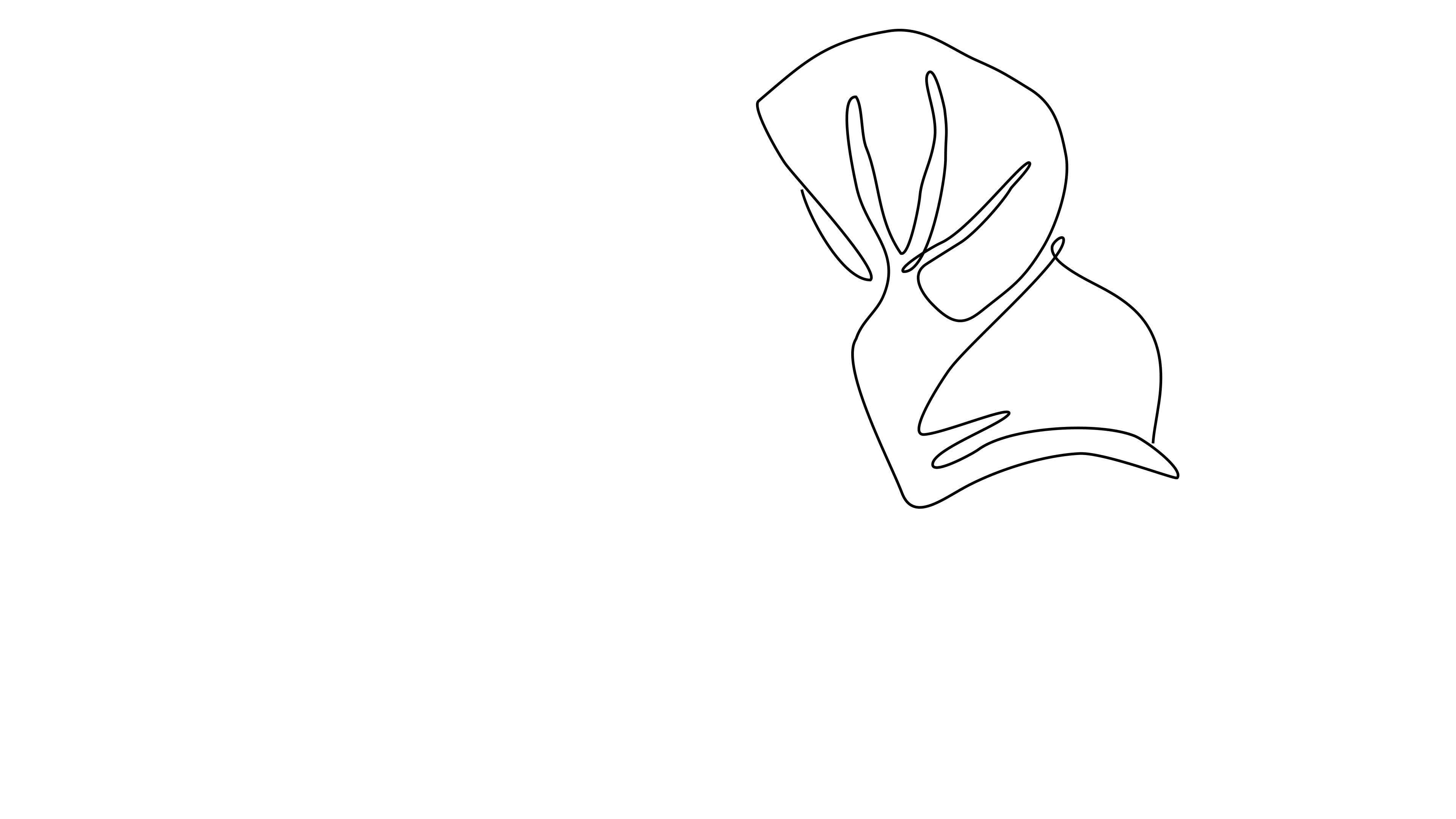 Animated Self Drawing Of Single Continuous Line Draw Single Woman