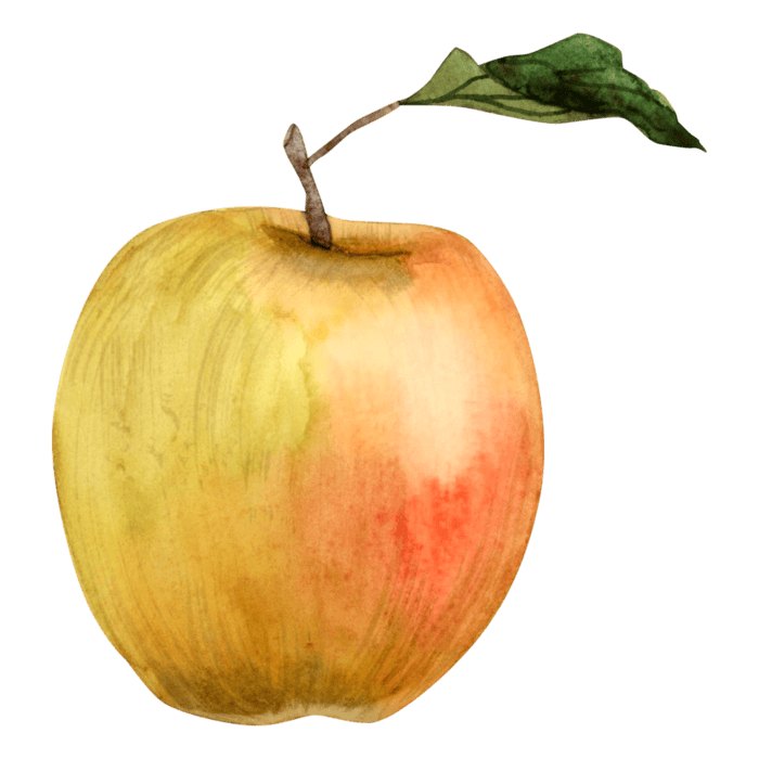 Watercolor Apple PNGs for Free Download