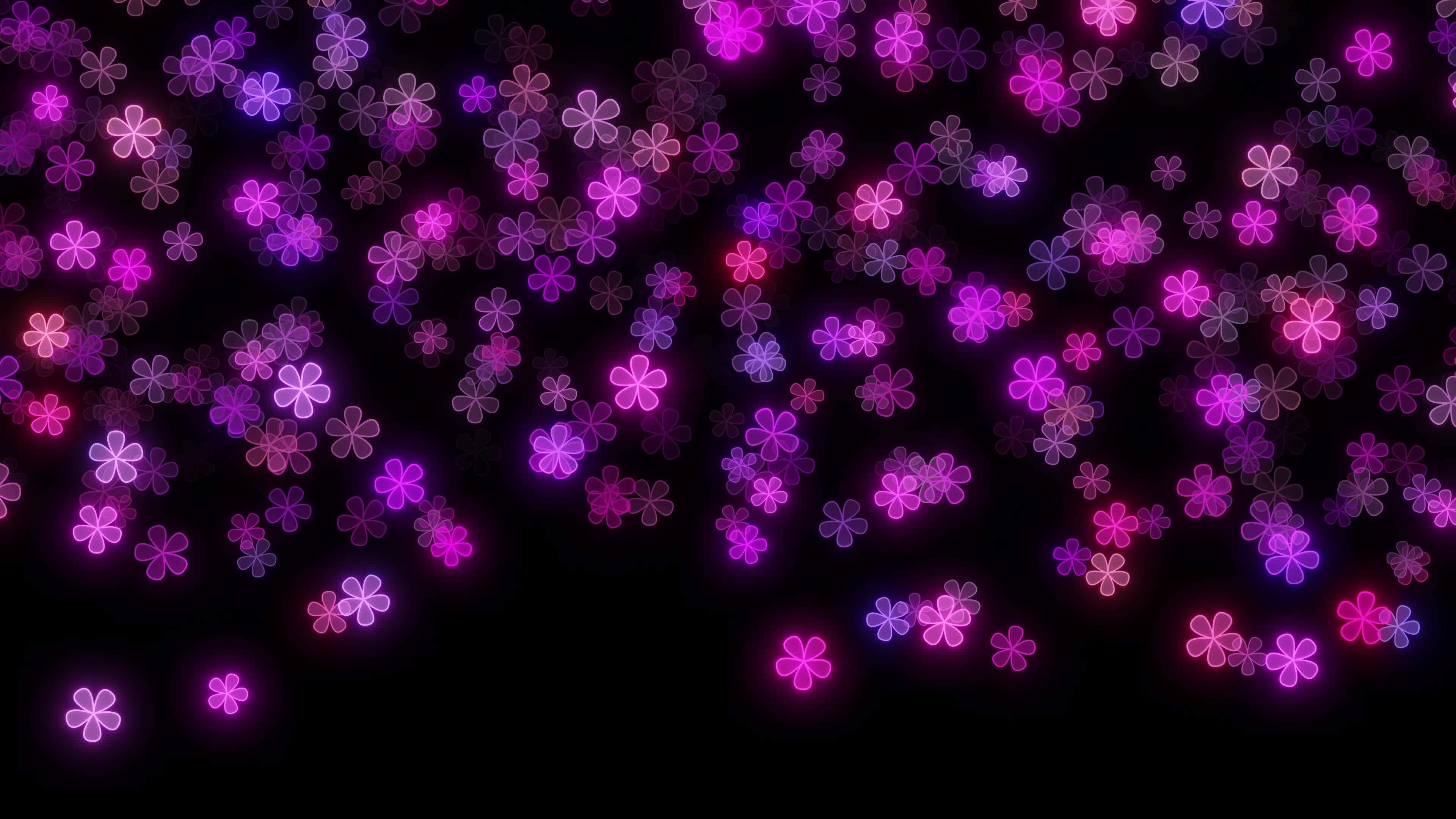 Glowing Flower Falling Animation Background, Romantic Flower Particle ... Glowing Flower Falling Animation Background, Romantic Flower Particle ...