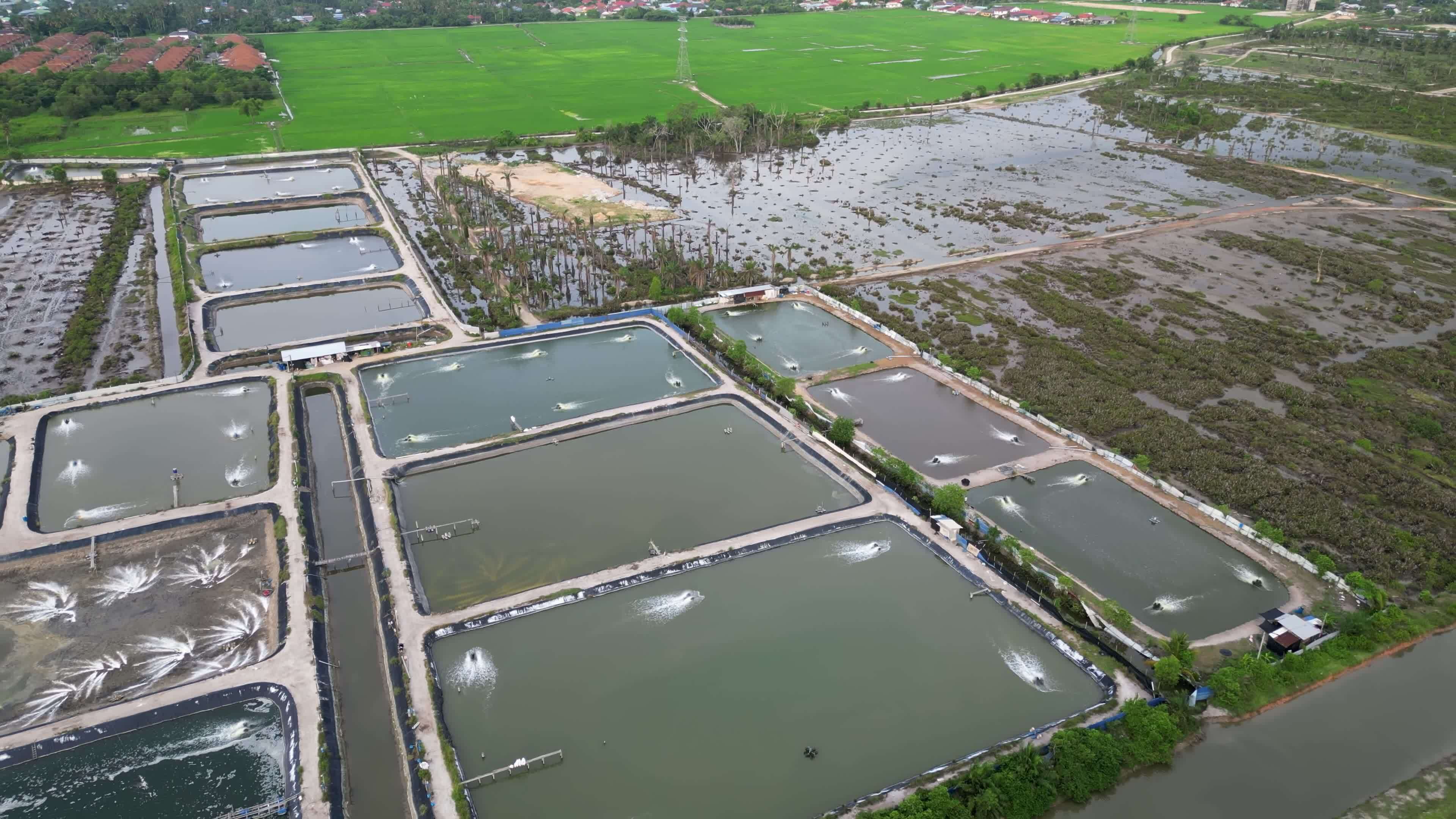 Commercial Fish Farming