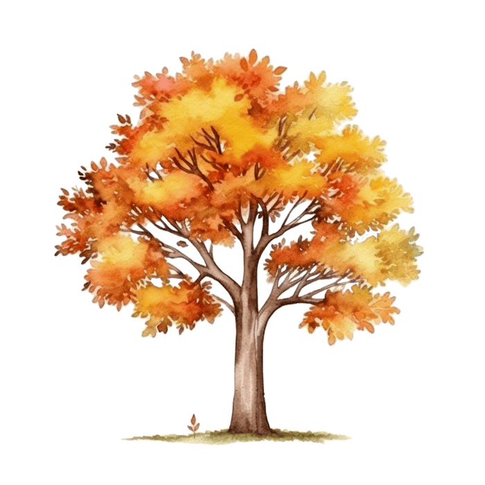 Autumn Tree PNGs for Free Download