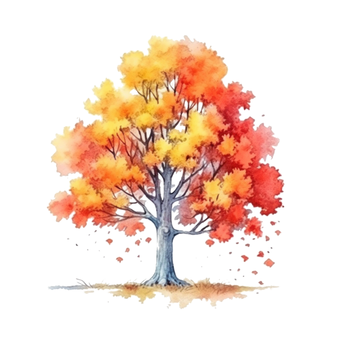 Autumn Tree PNGs for Free Download