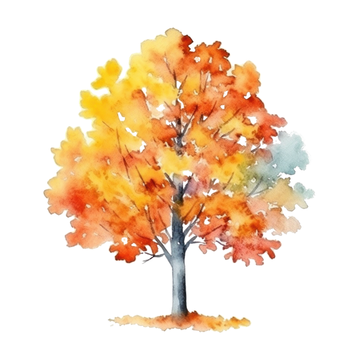 Autumn Tree Watercolor PNGs for Free Download