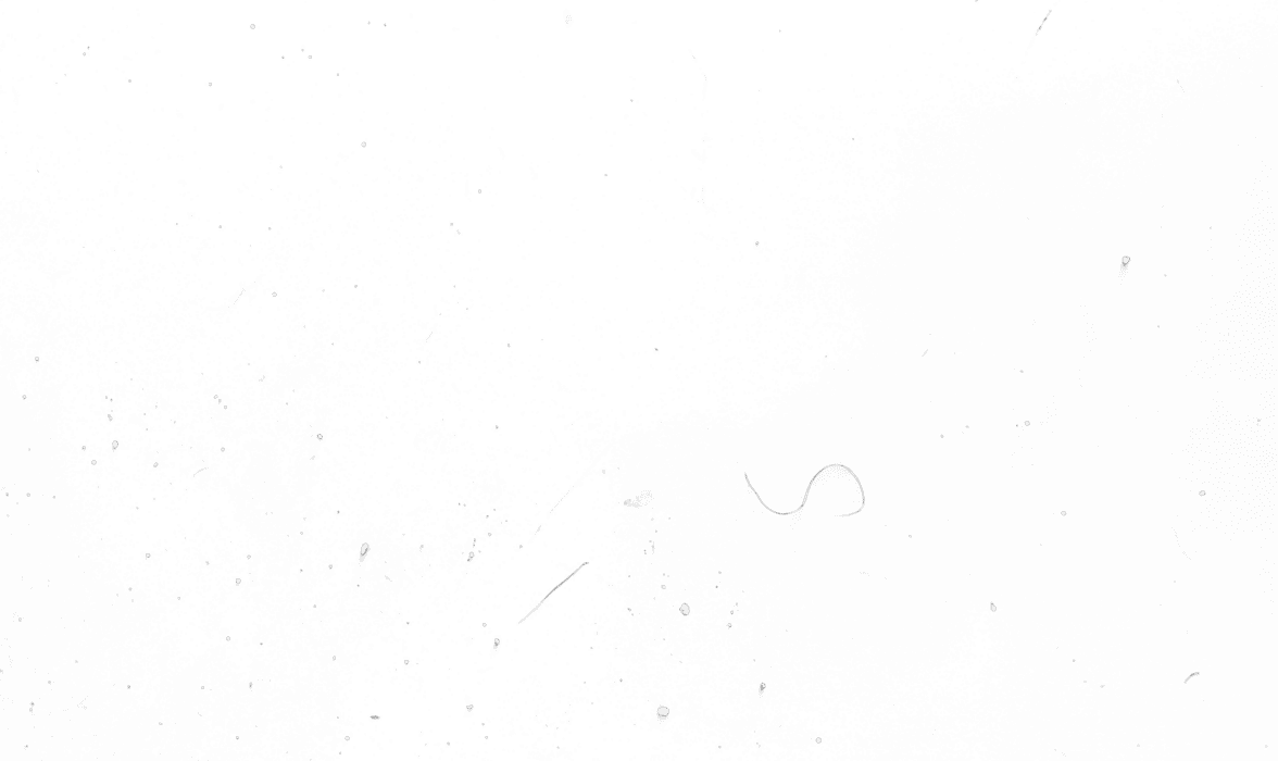 Film Dust PNGs for Free Download