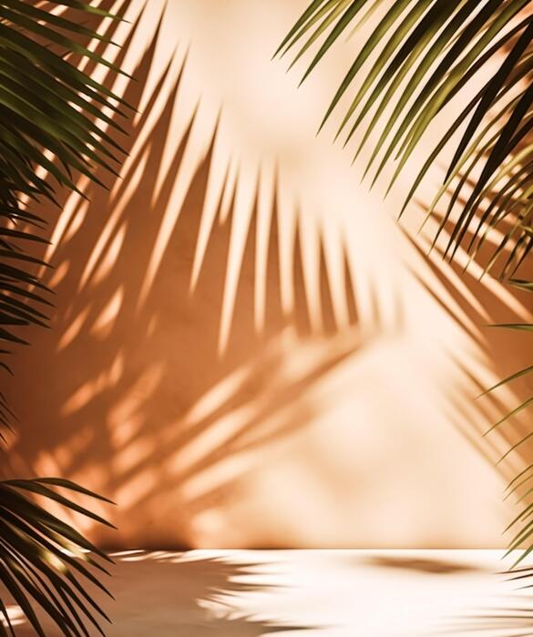 Tropical Outline Stock Photos, Images and Backgrounds for Free Download