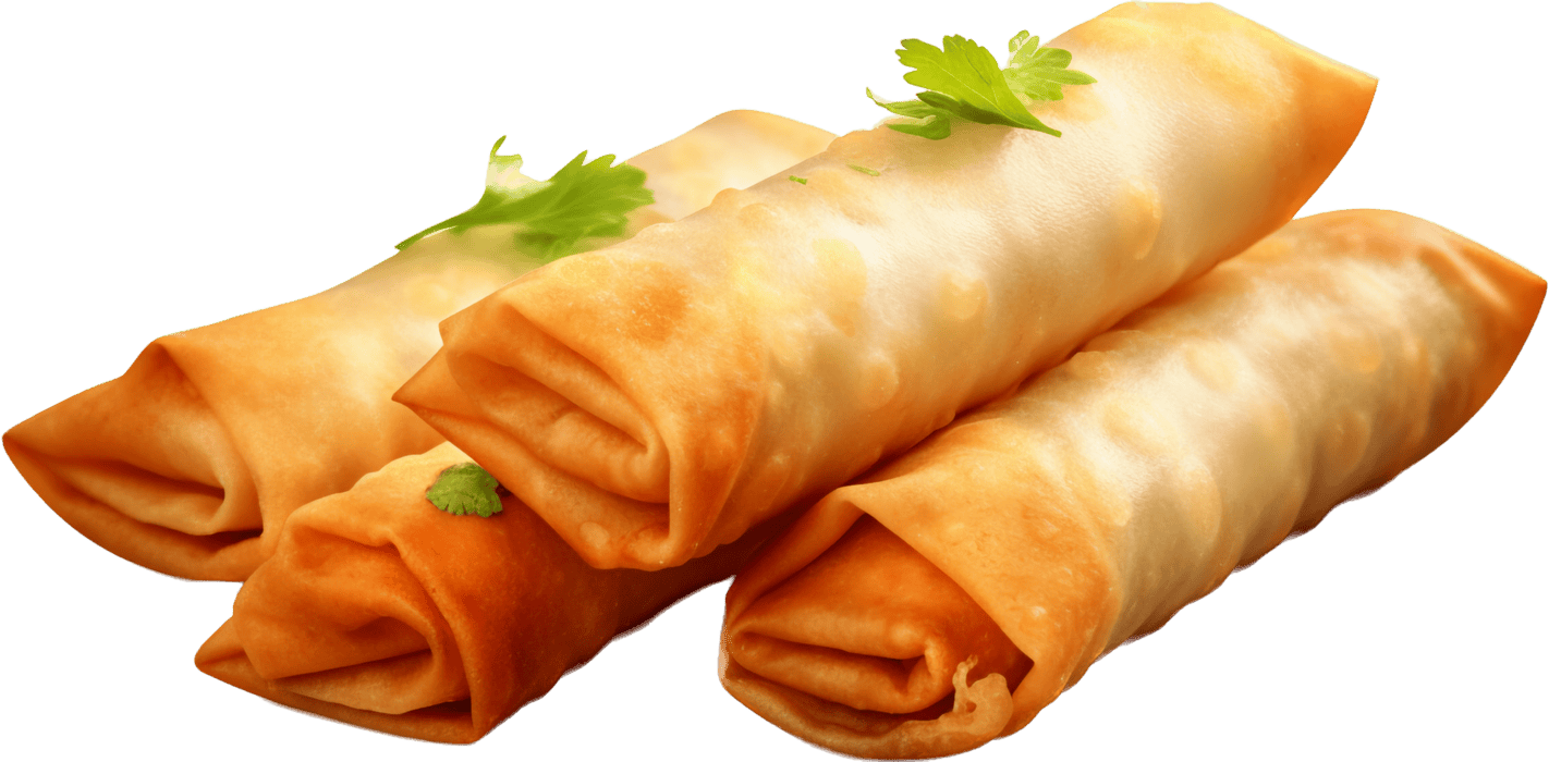 Spring Roll PNGs for Free Download