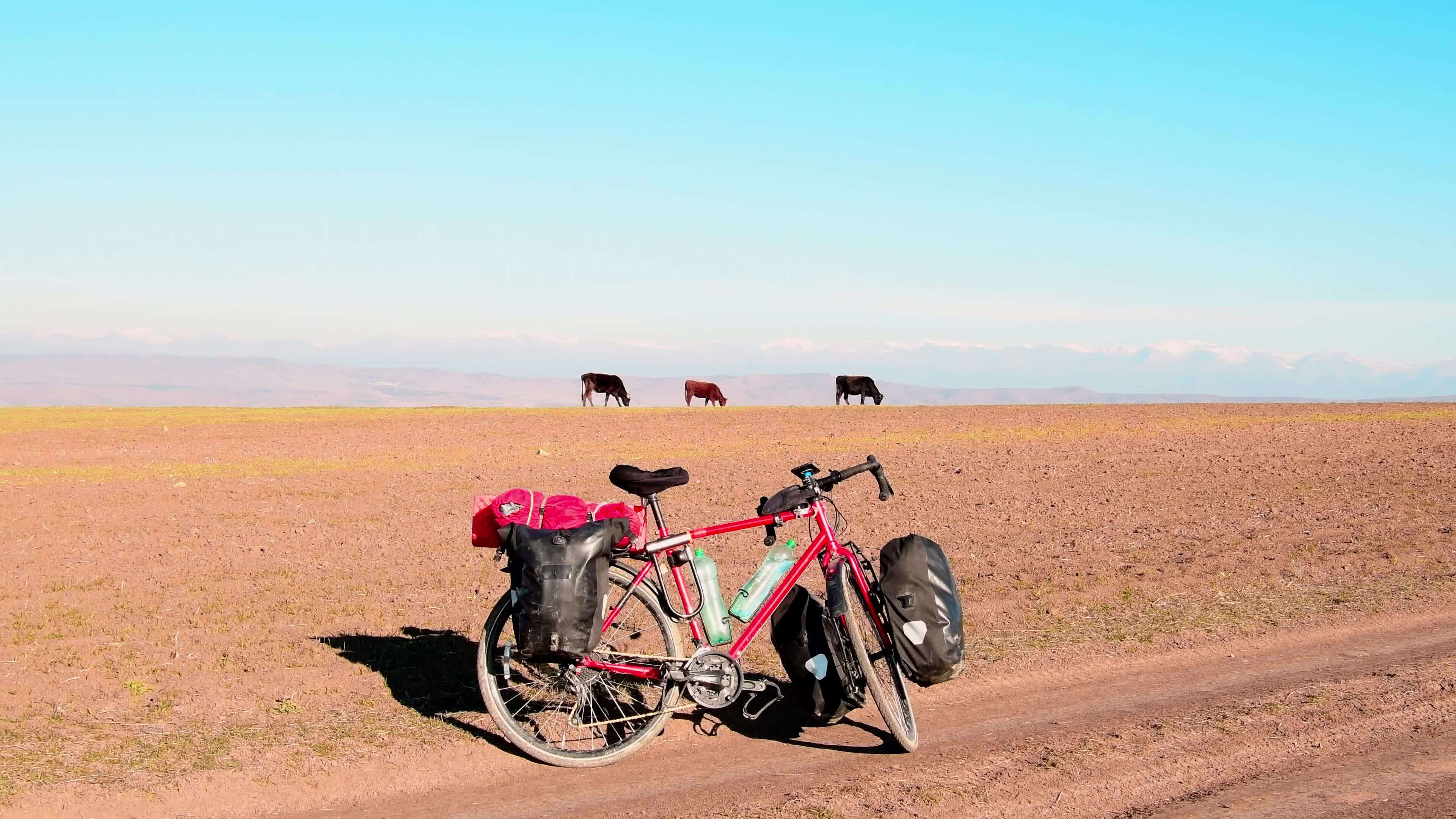 Red touring bicycle loaded with heavy gear in four pannier bags stand on side of asphalt road ...