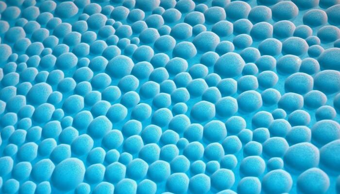 Cell Membrane Stock Photos, Images and Backgrounds for Free Download