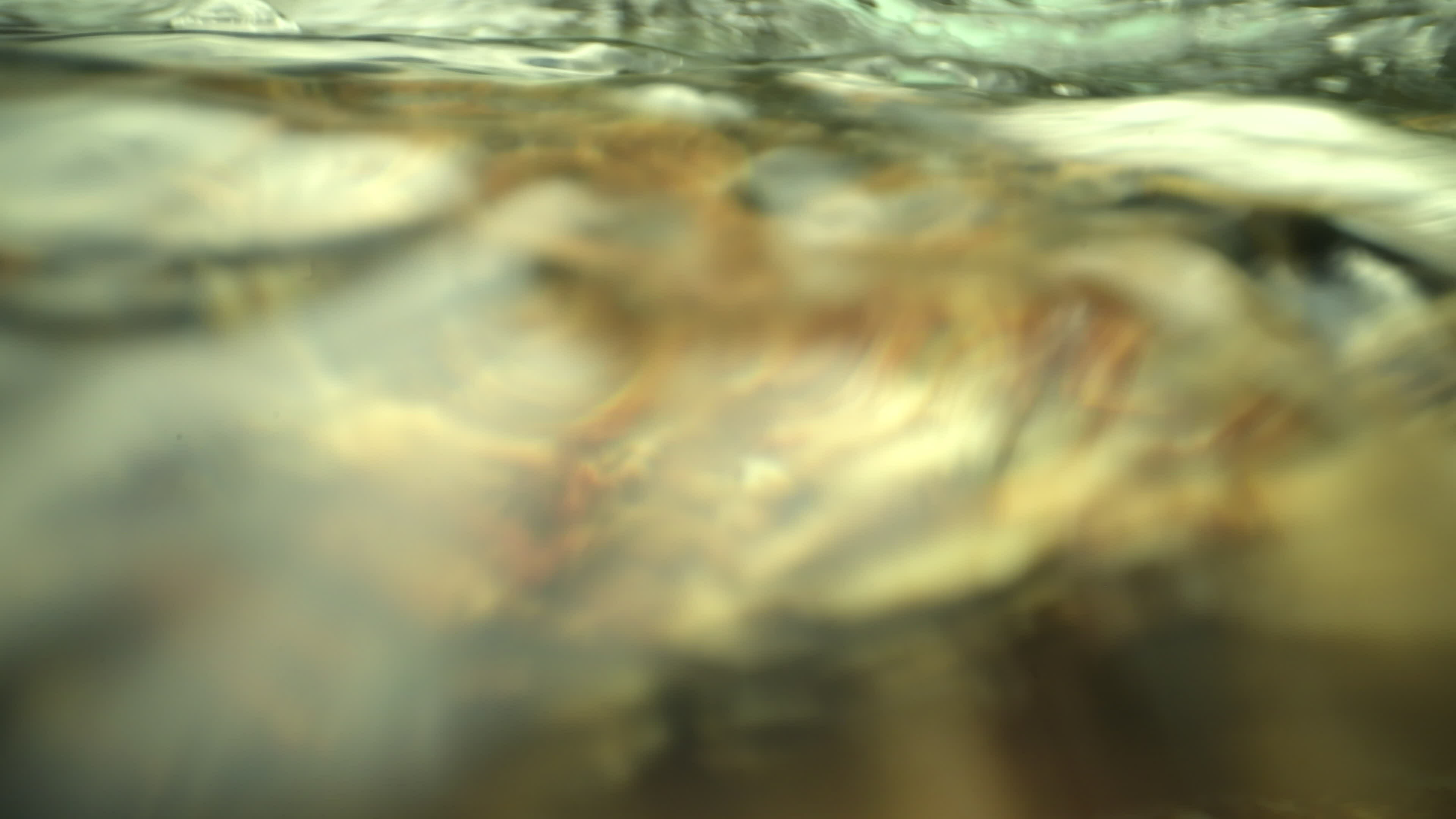 Underwater Footage Of The River Current 25337523 Stock Video At Vecteezy underwater-footage-of-the-river-current-25337523-stock-video-at-vecteezy