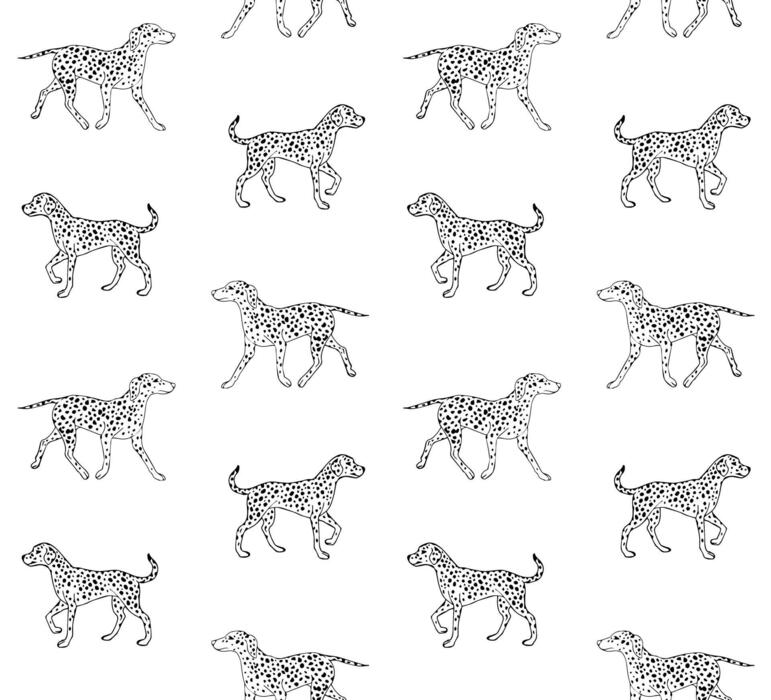Dalmatian Wallpaper Vector Art, Icons, and Graphics for Free Download
