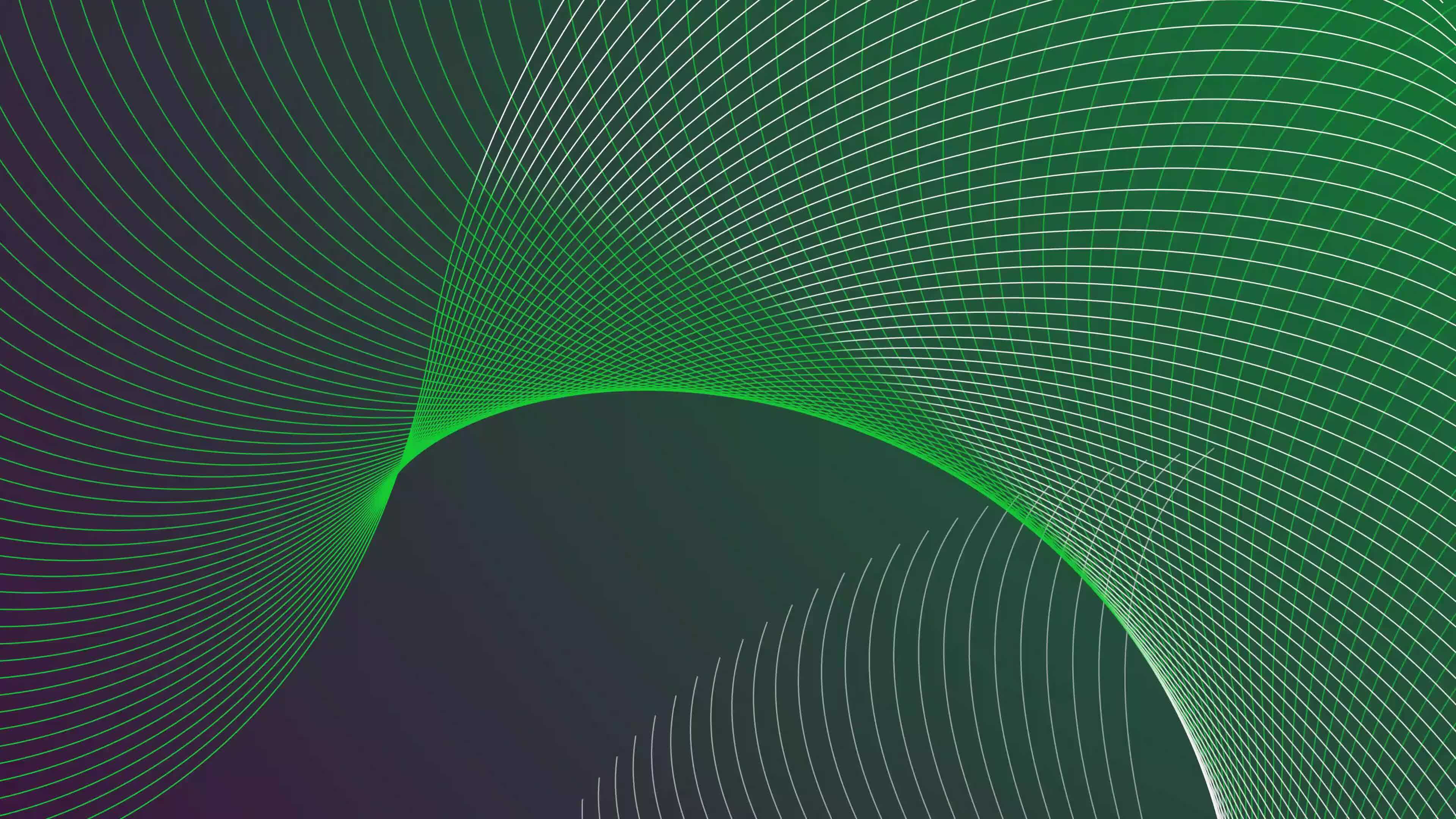 abstract geometric line wave background animation. 25456411 Stock Video ...