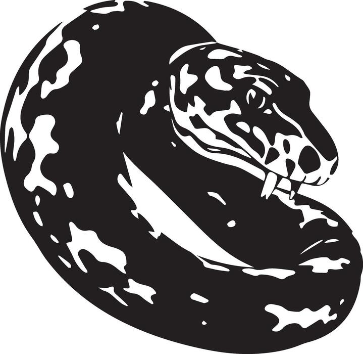Python Snake Vector Art, Icons, and Graphics for Free Download