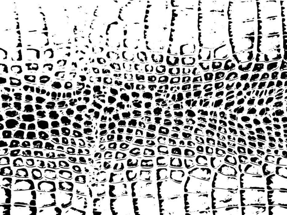 Alligator Skin Pattern Vector Art Icons And Graphics For Free Download