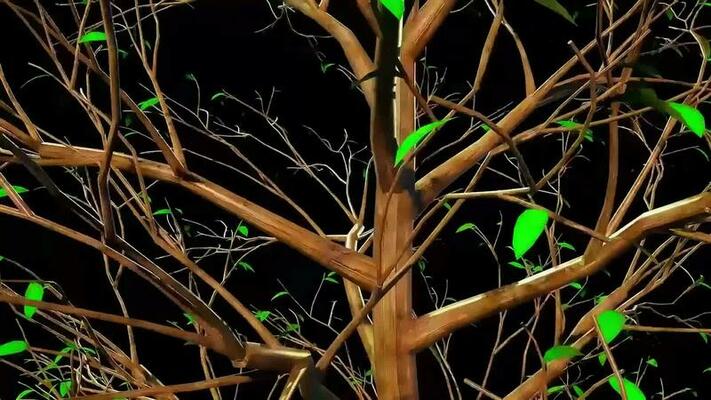 Animated Tree Stock Video Footage for Free Download