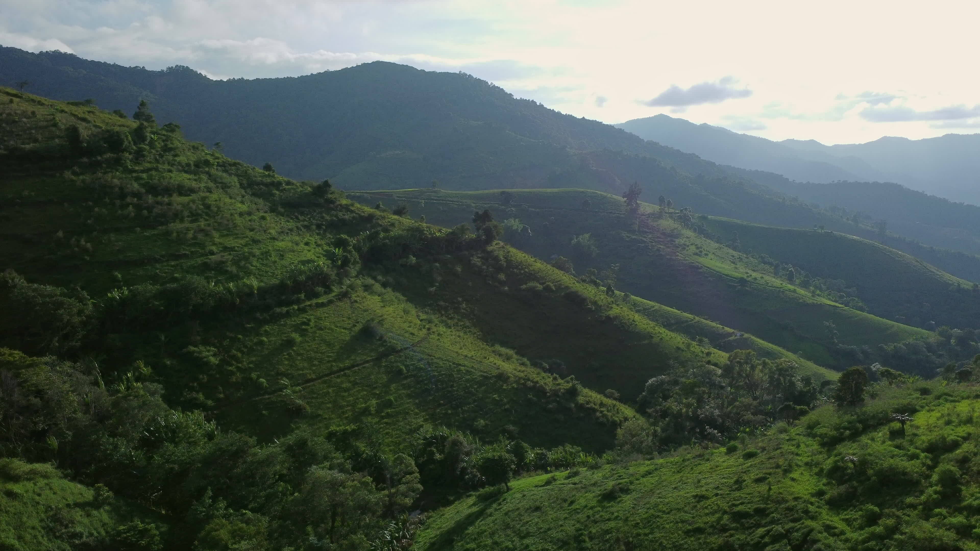 Scenic of idyllic rolling hills landscape with blooming meadows and ...