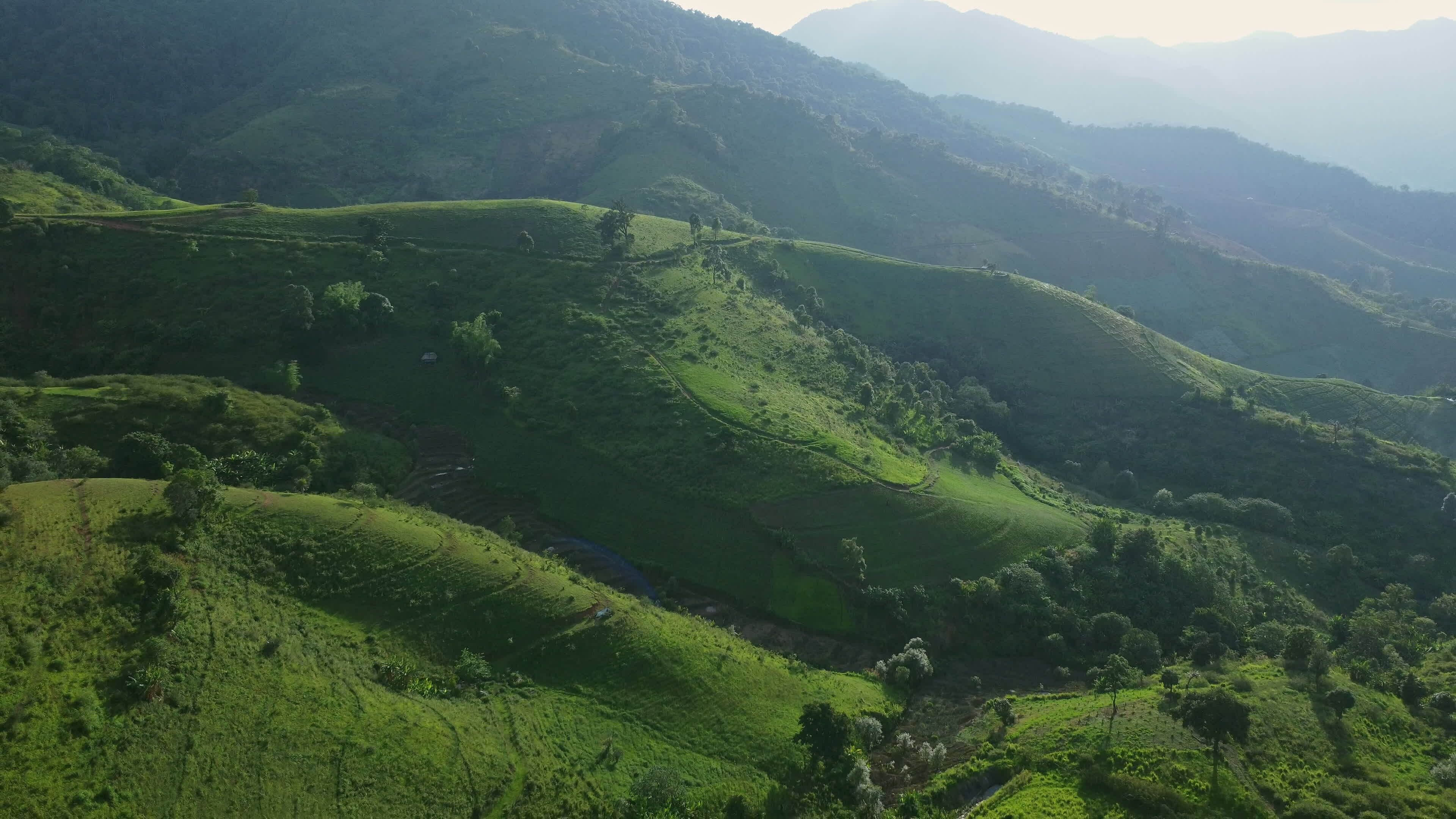 Scenic of idyllic rolling hills landscape with blooming meadows and ...
