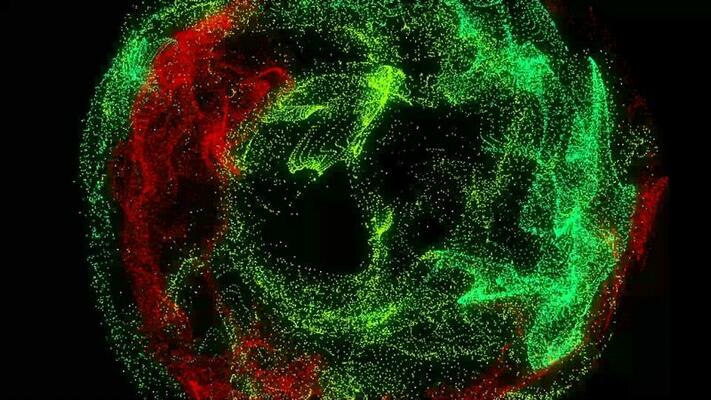 Animation Stock Video Footage for Free Download