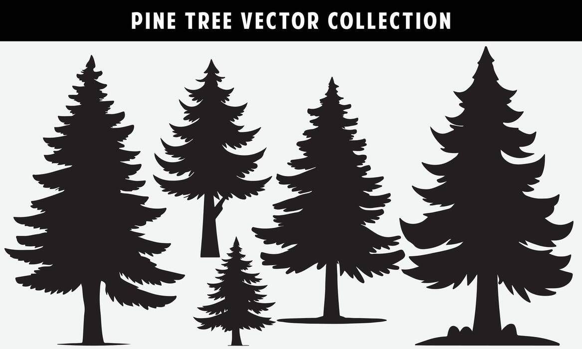 Pine Tree Texture Vector Art, Icons, and Graphics for Free Download