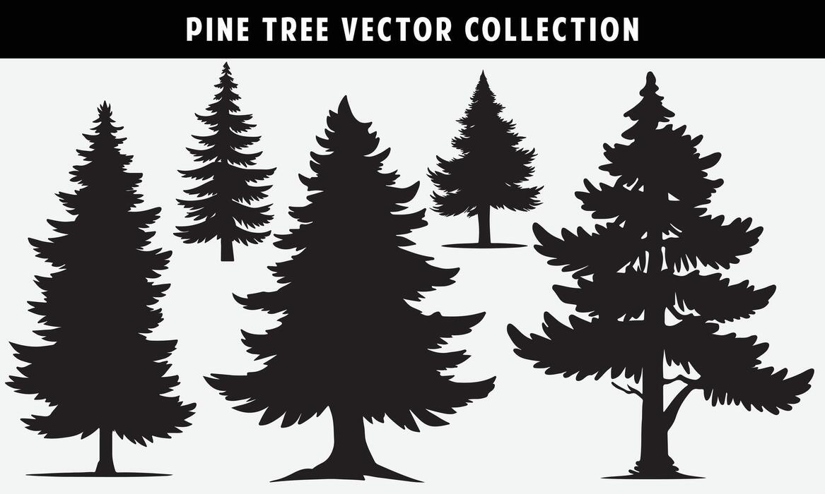 Page 3 | Pine Tree Vector Art, Icons, and Graphics for Free Download