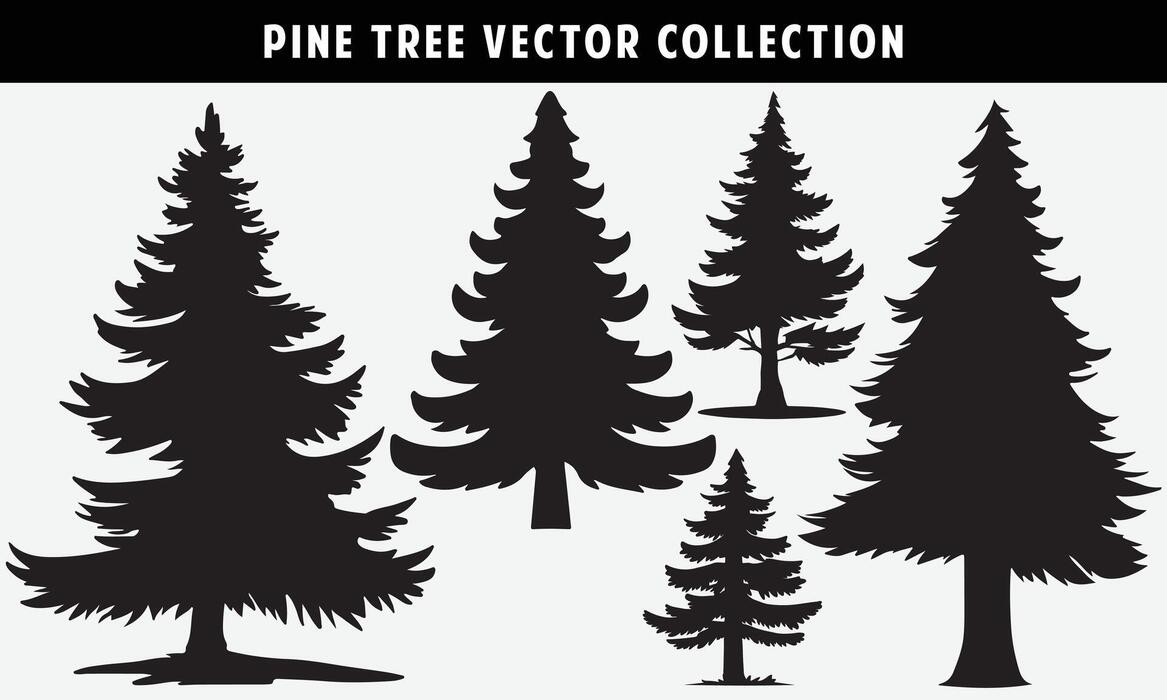 Page 3 | Pine Tree Vector Art, Icons, and Graphics for Free Download