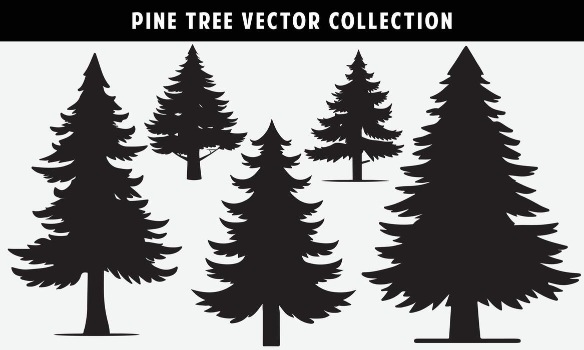 Page 5 | Pine Tree Vector Art, Icons, and Graphics for Free Download
